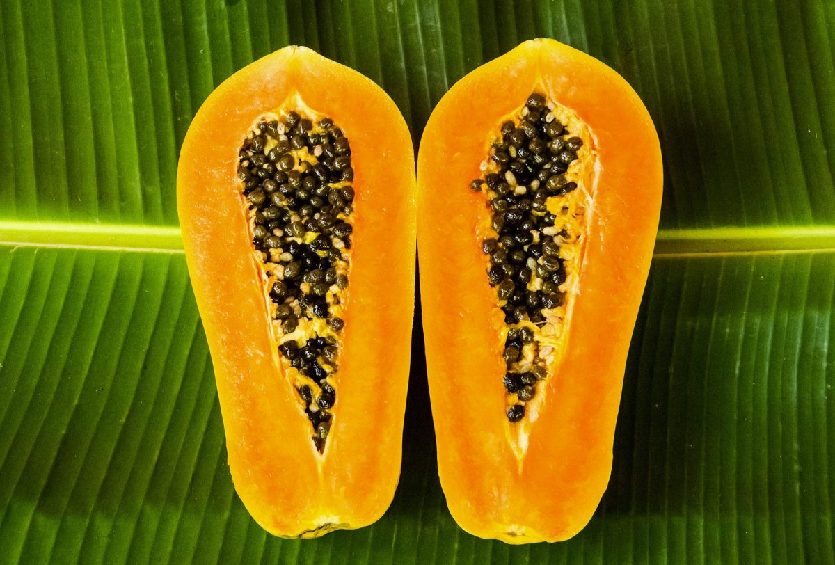 La Lechoza, el fruto del amor | MakinGastronomy