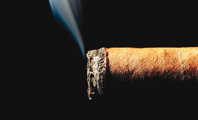 Los 5 Pasos Para Elegir Tu Cigarro Ideal | MakinGastronomy